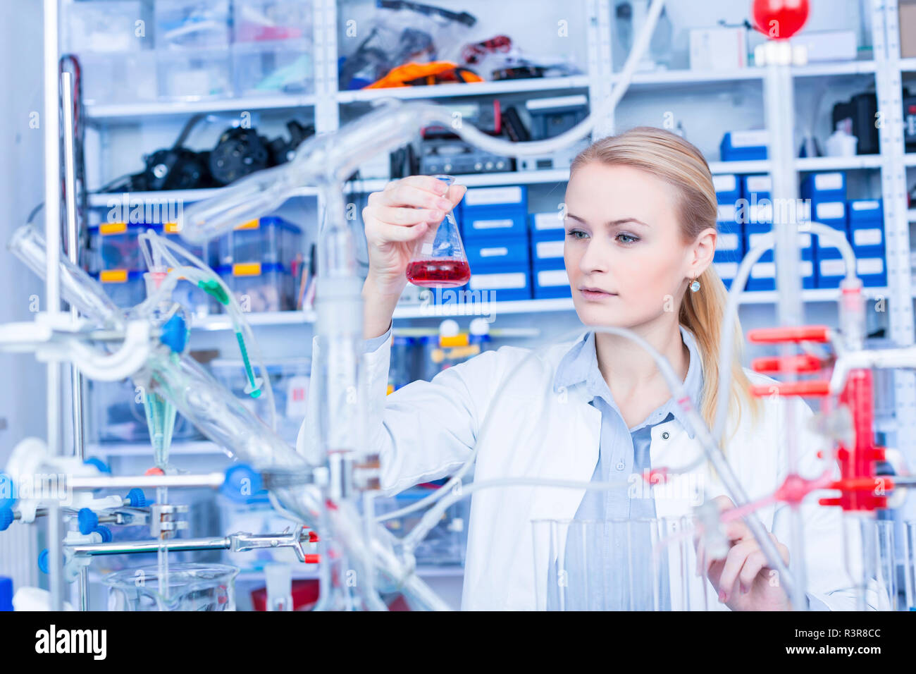 Laboratory assistant with chemical experiment Stock Photo - Alamy