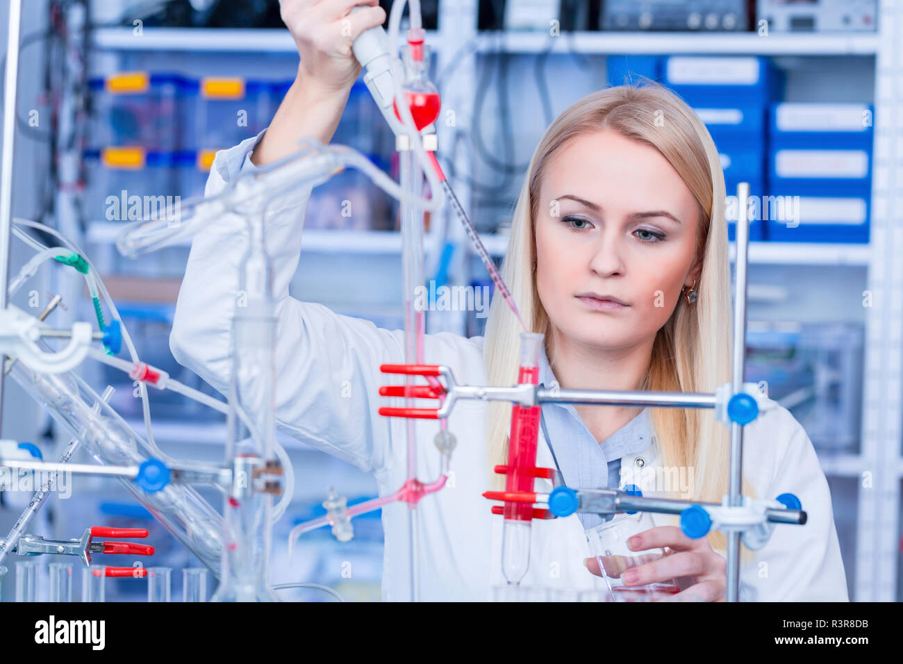 Laboratory assistant with chemical experiment Stock Photo - Alamy