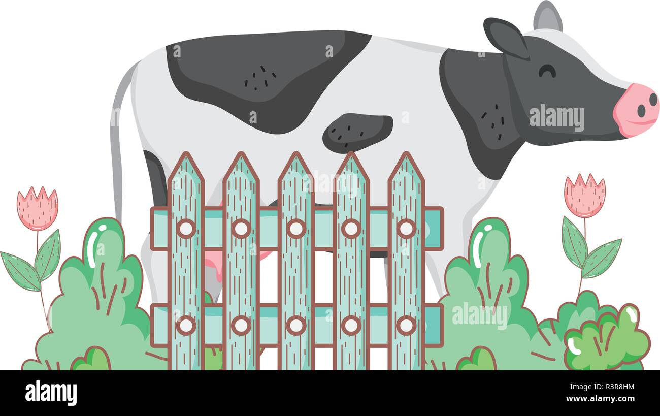 cow farm animal with garden and fence vector illustration design Stock ...