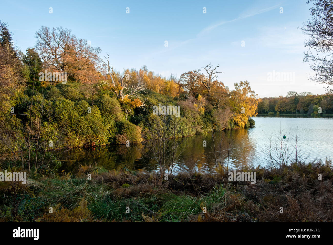 Virginia Water Lake Virginia Water Surrey England UK Stock Photo - Alamy