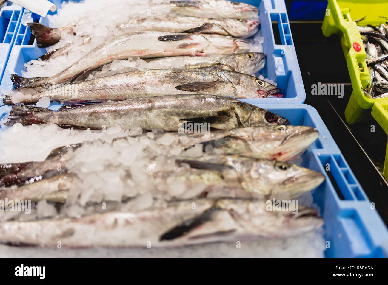 Hake fish in a box with ice in a fishmonger Stock Photo - Alamy