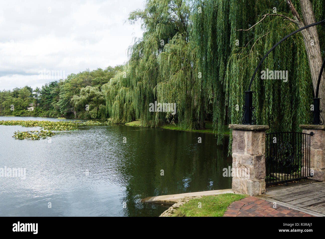 Weeping willow tree and water hi-res stock photography and images - Alamy