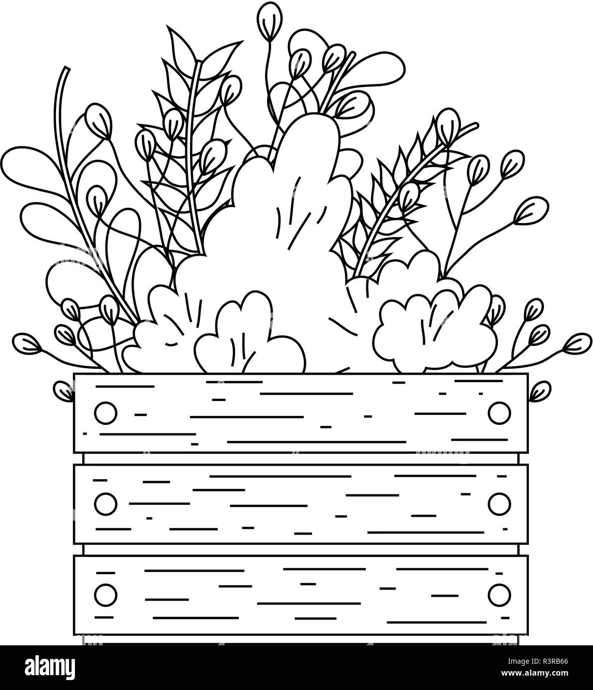 garden wooden box with flowers vector illustration design Stock Vector ...