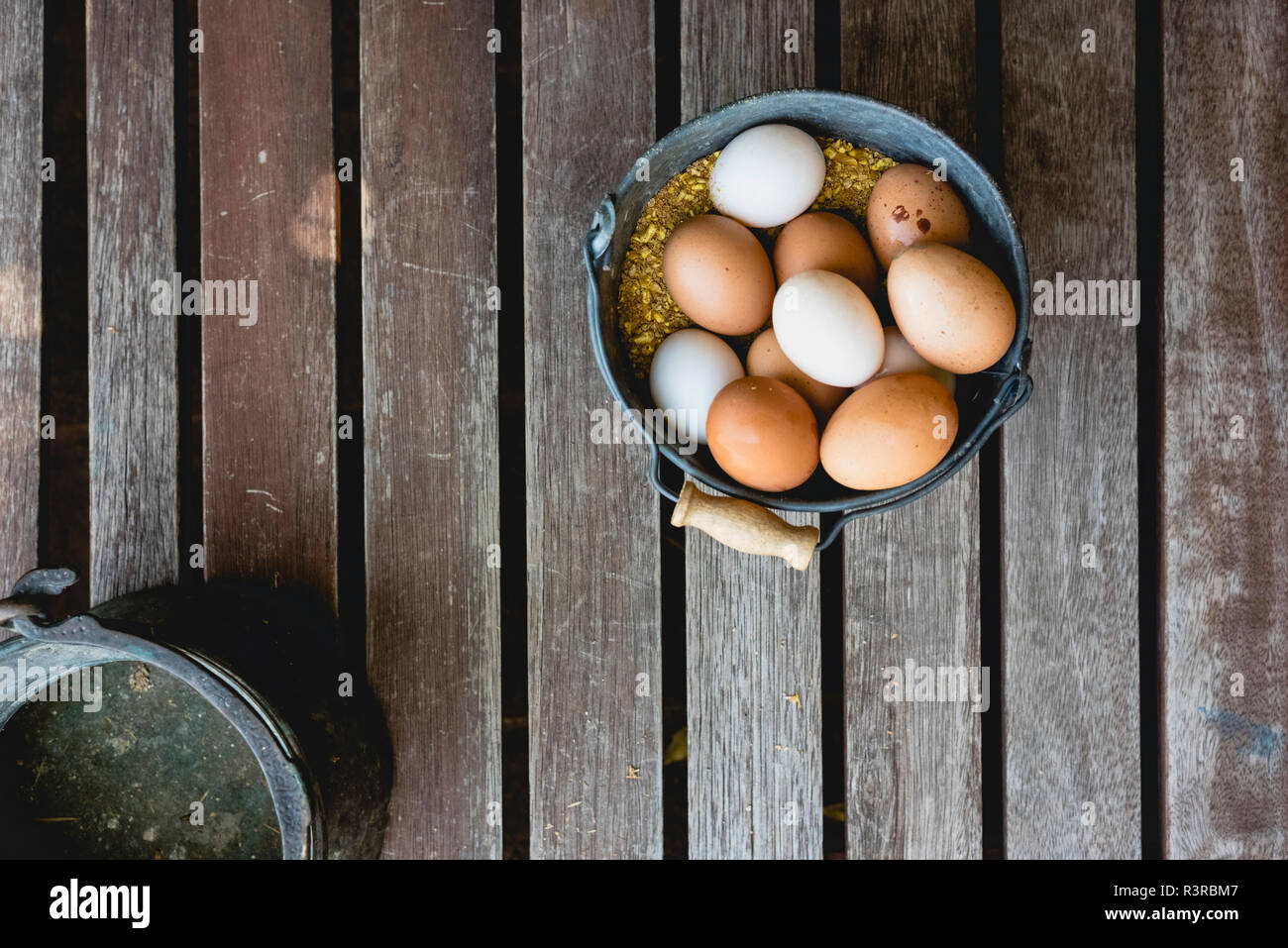 Metal bucket full of organic chicken eggs Stock Photo - Alamy