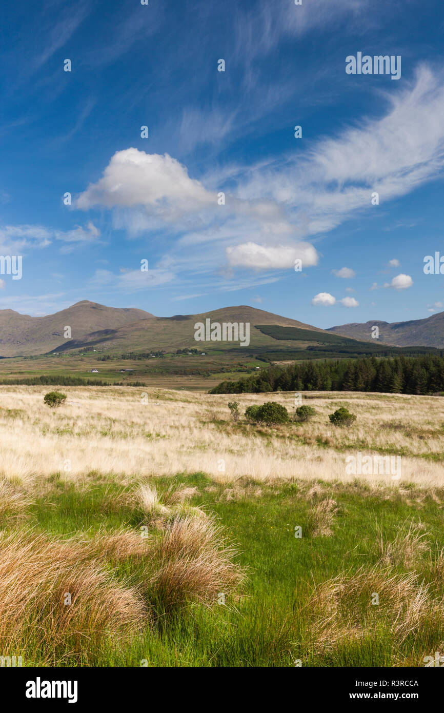 Letterfinish hi-res stock photography and images - Alamy