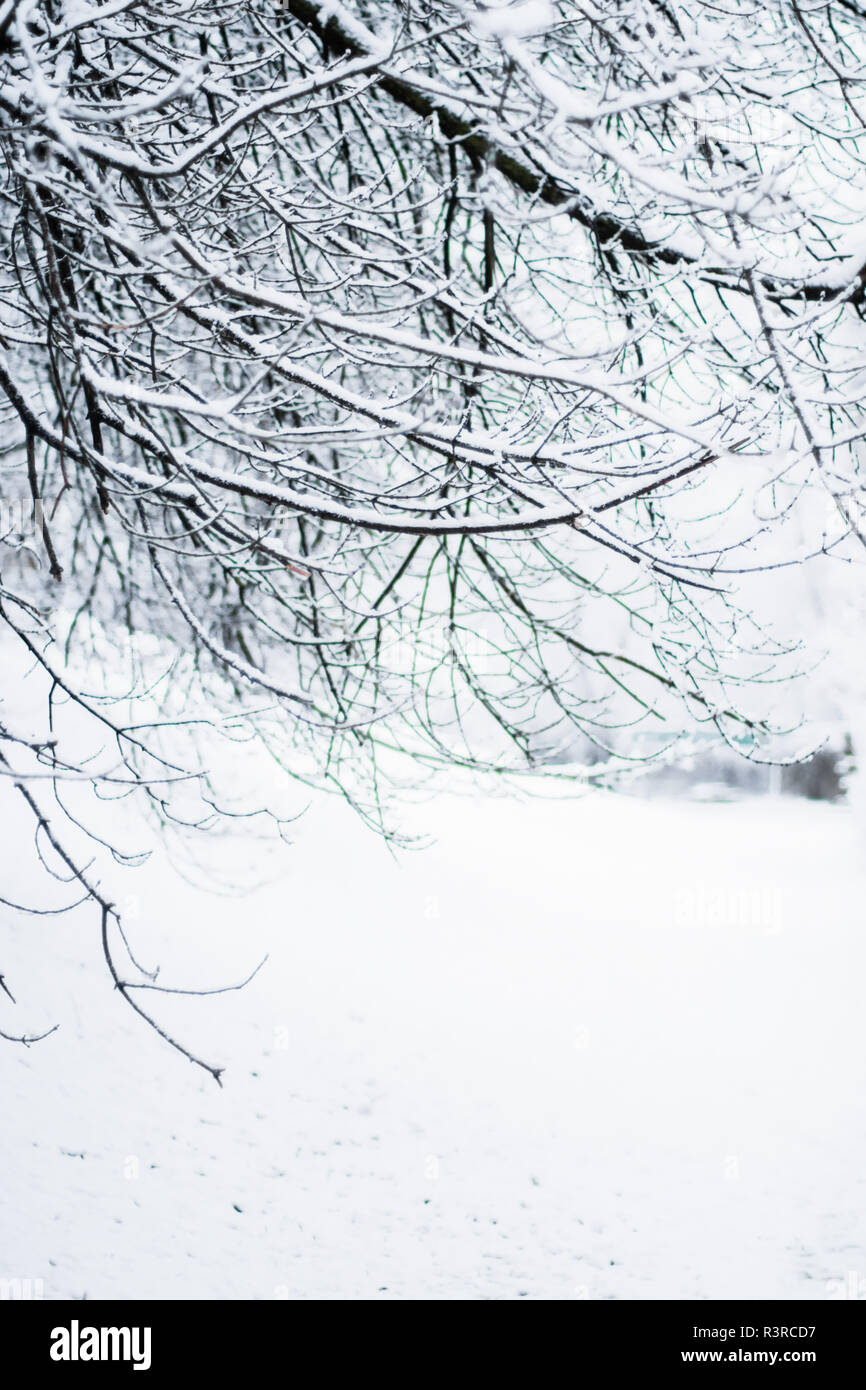 A beautiful winter season scene in Christmas time Stock Photo - Alamy