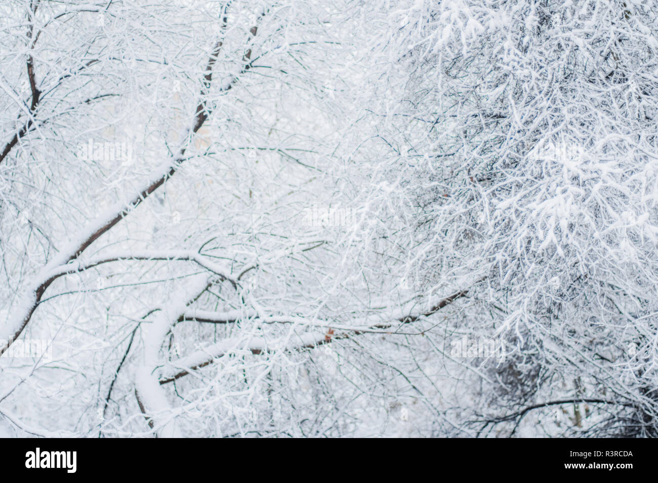 A beautiful winter season scene in Christmas time Stock Photo - Alamy