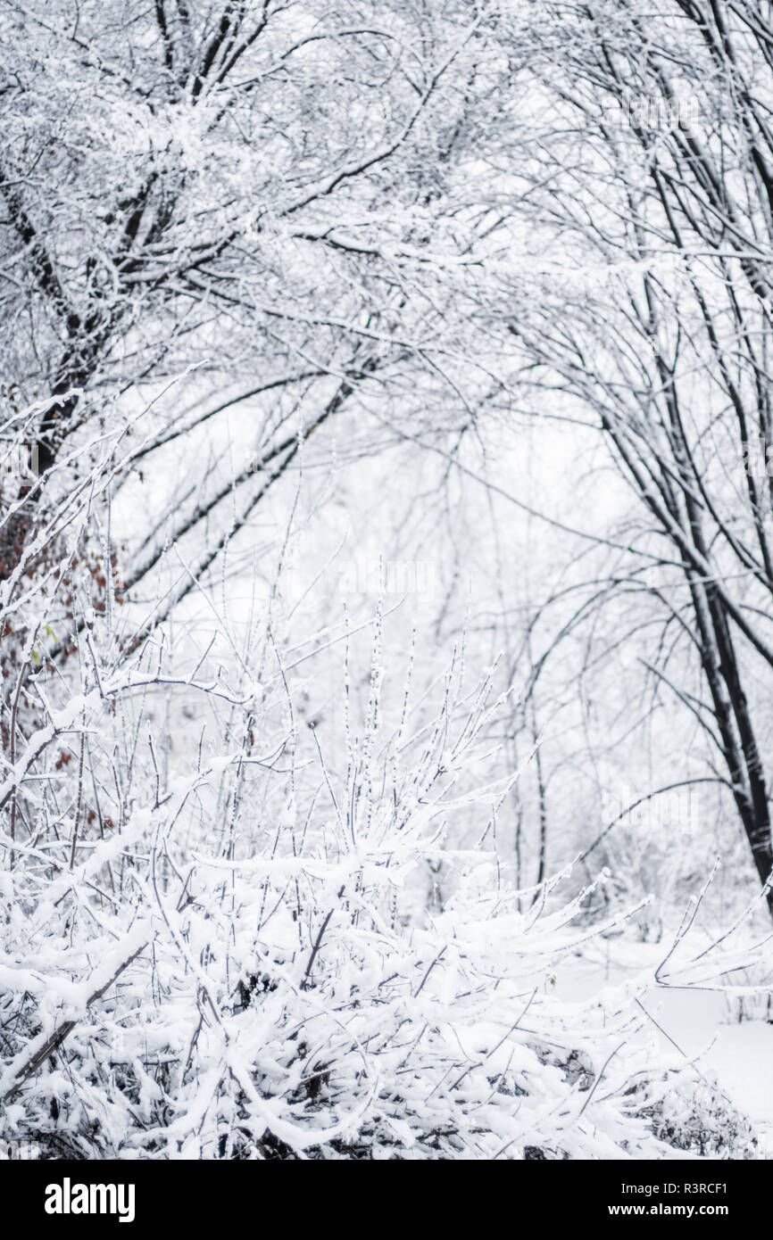 A beautiful winter season scene in Christmas time Stock Photo - Alamy