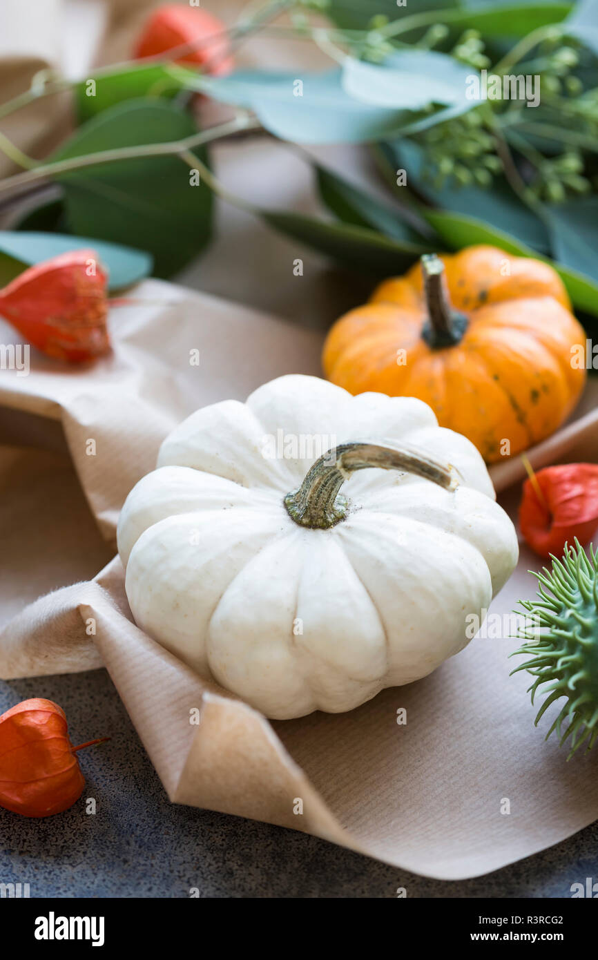 Different colored pumpkins hi-res stock photography and images - Alamy