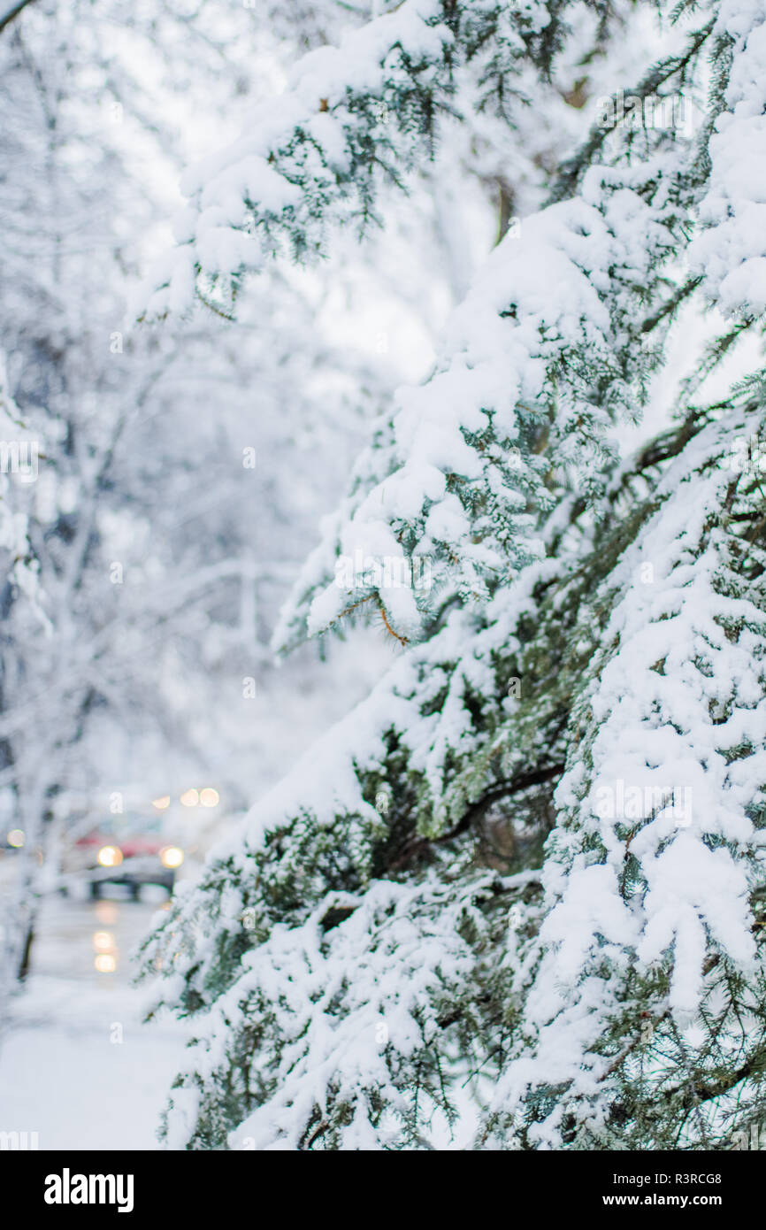 A beautiful winter season scene in Christmas time Stock Photo - Alamy