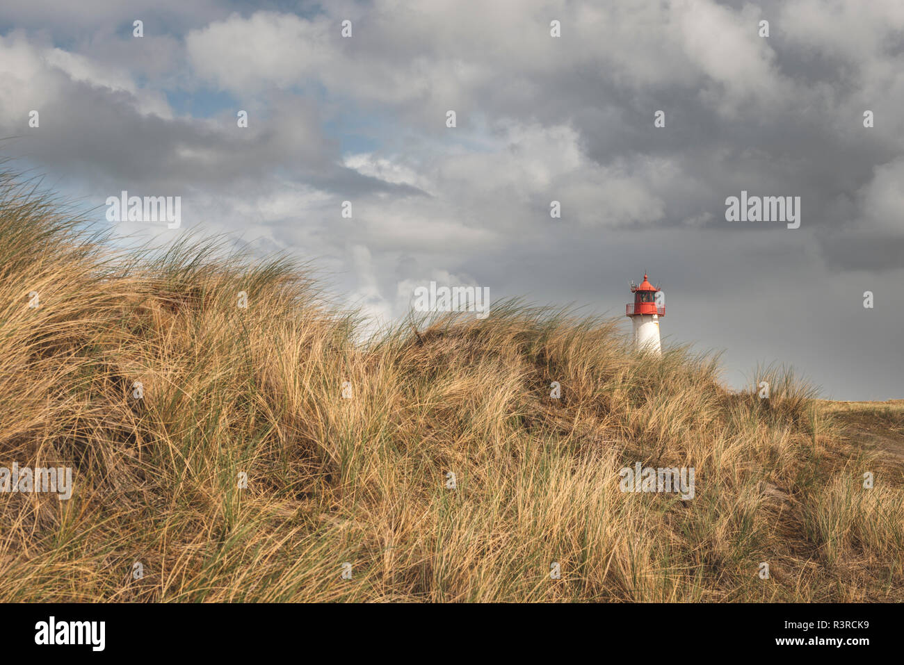 Ellenbogen hi-res stock photography and images - Alamy