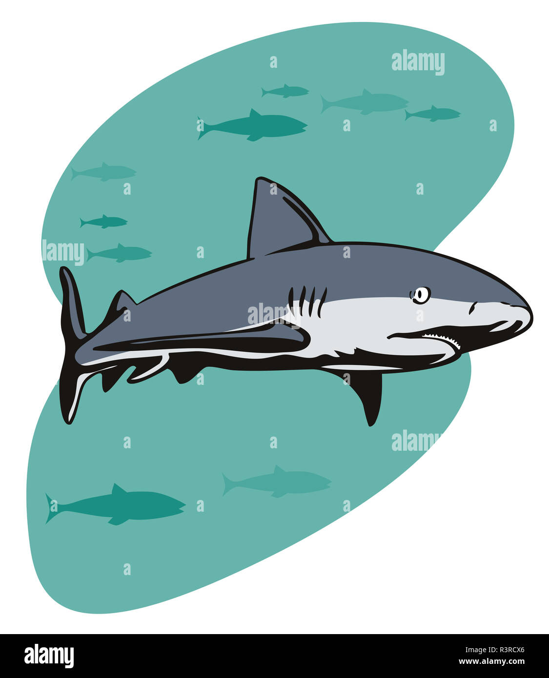 Shark side view Cut Out Stock Images & Pictures - Alamy