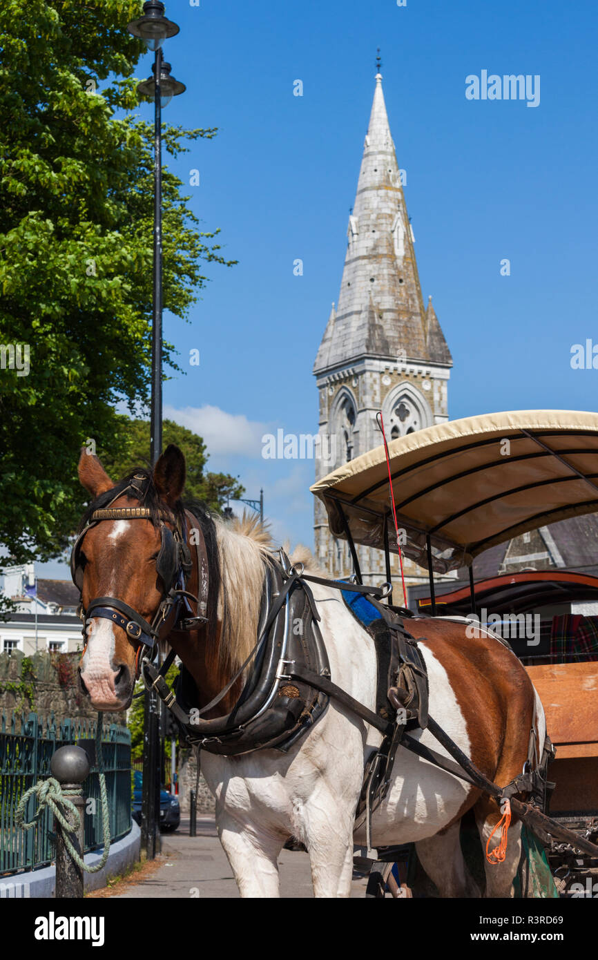 Killarney jaunting car hi-res stock photography and images - Alamy