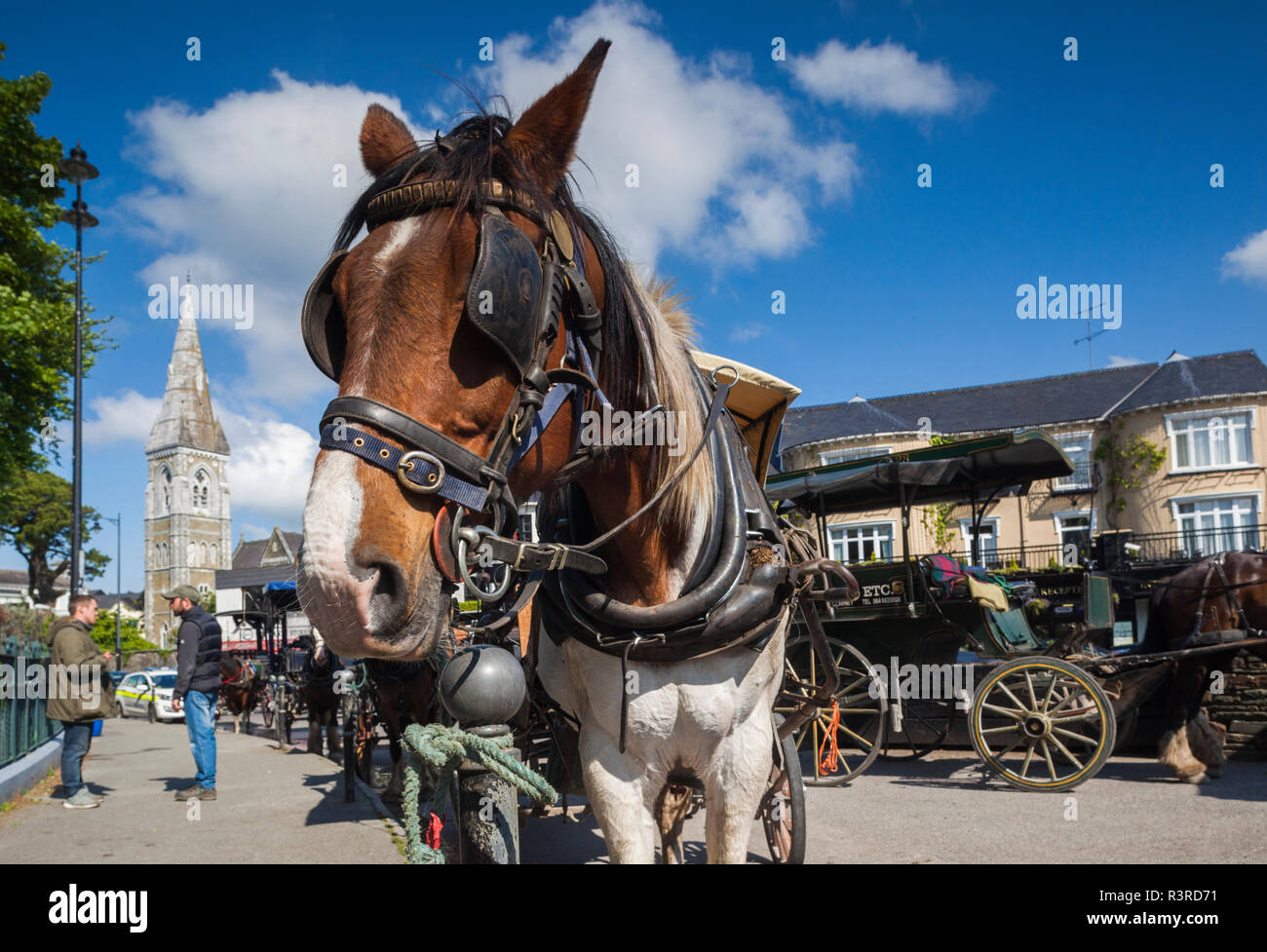 Killarney jaunting car hi-res stock photography and images - Alamy