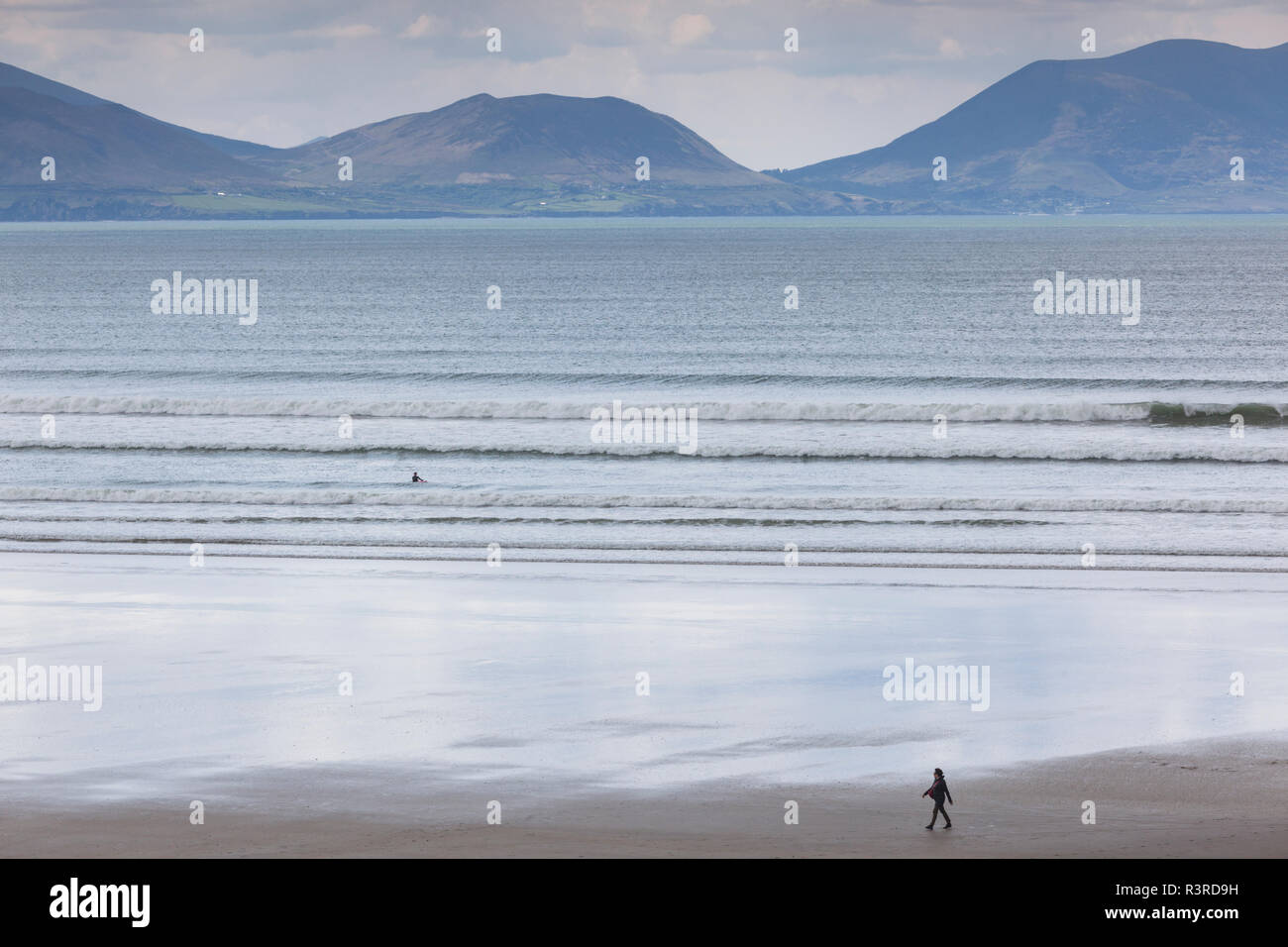 Ireland, County Kerry, Dingle Peninsula, Inch Strand, beach Stock Photo ...