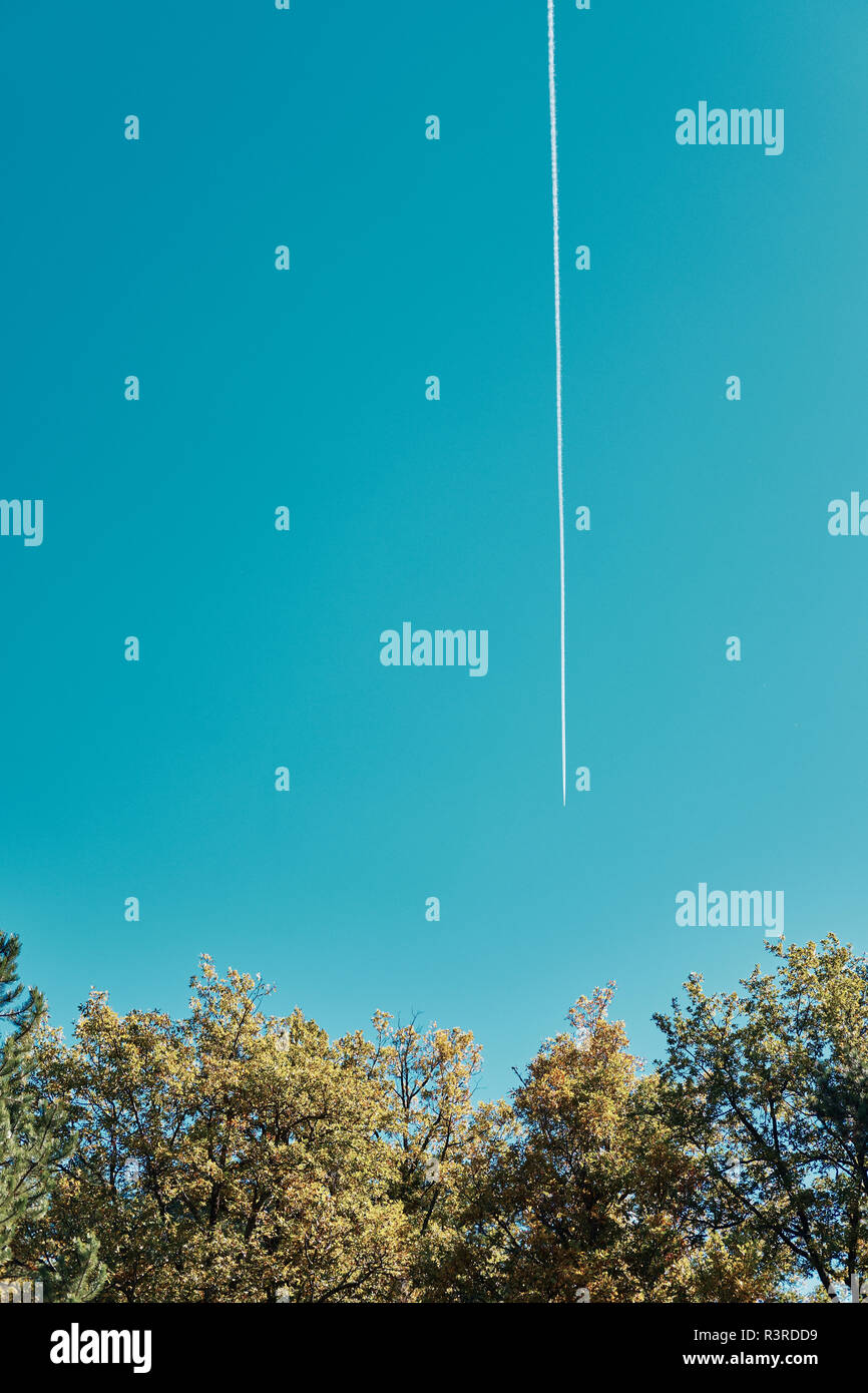 Trace tree hi-res stock photography and images - Alamy