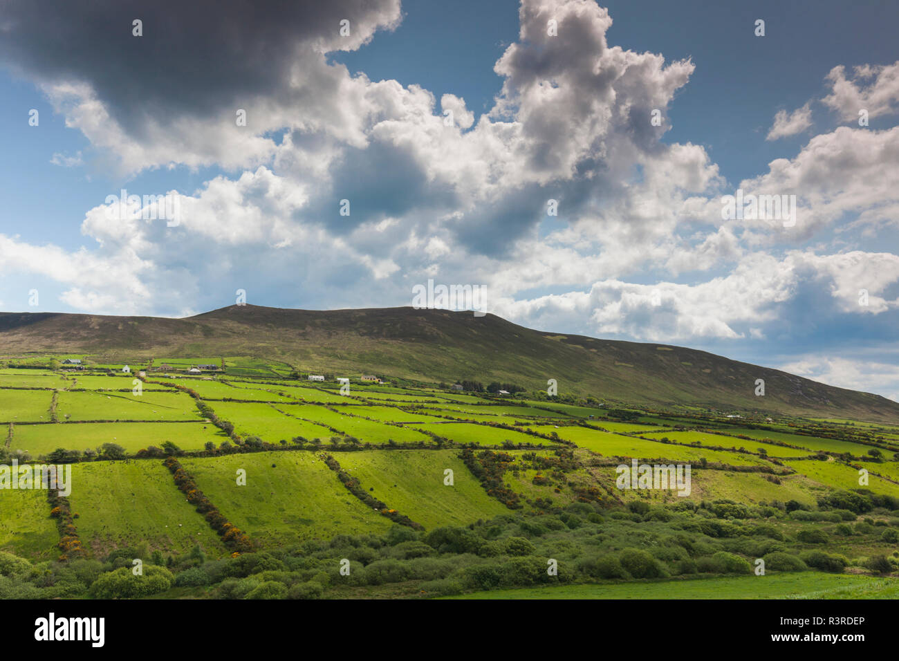 Ireland, County Kerry, Dingle Peninsula, Annascaul, elevated ...
