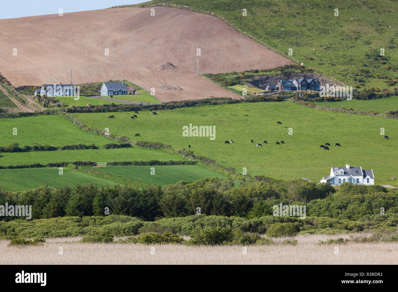 Ventry kerry hi-res stock photography and images - Alamy