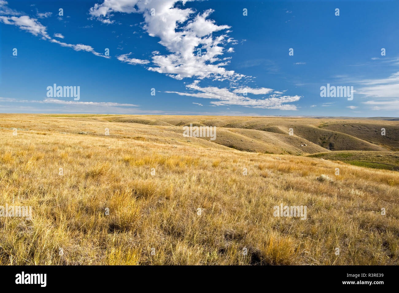 Canada, Saskatchewan, Grasslands National Park. Grasslands landscape ...