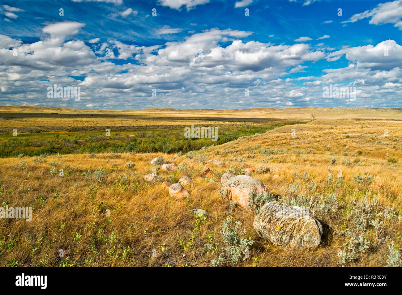 Canada grasslands national park hi-res stock photography and images - Alamy
