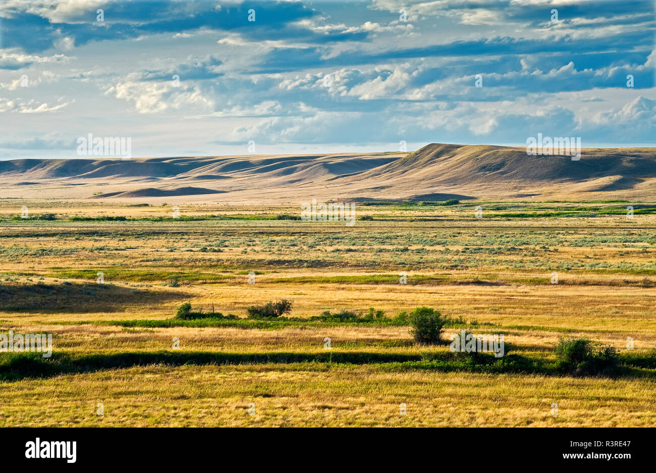Canada, Saskatchewan, Grasslands National Park. Grasslands landscape ...