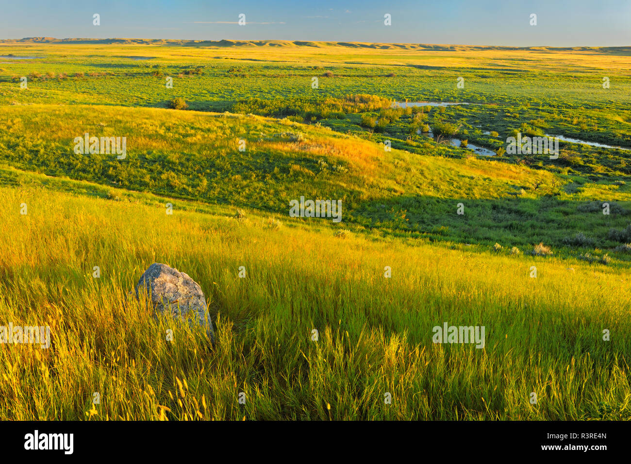 Grasslands national park hi-res stock photography and images - Alamy