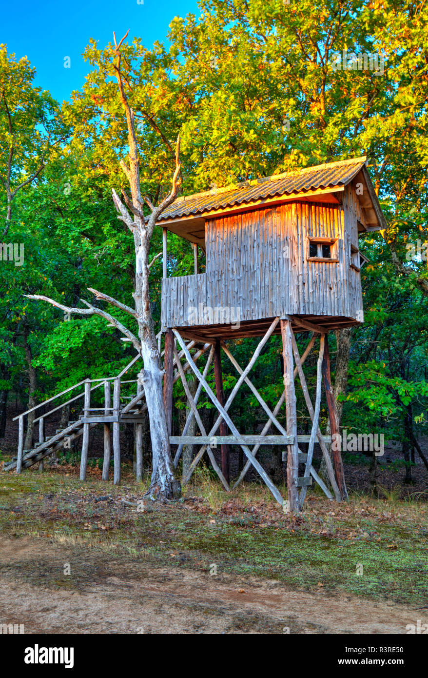 Nice wooden house in the branches of the tree Stock Photo - Alamy