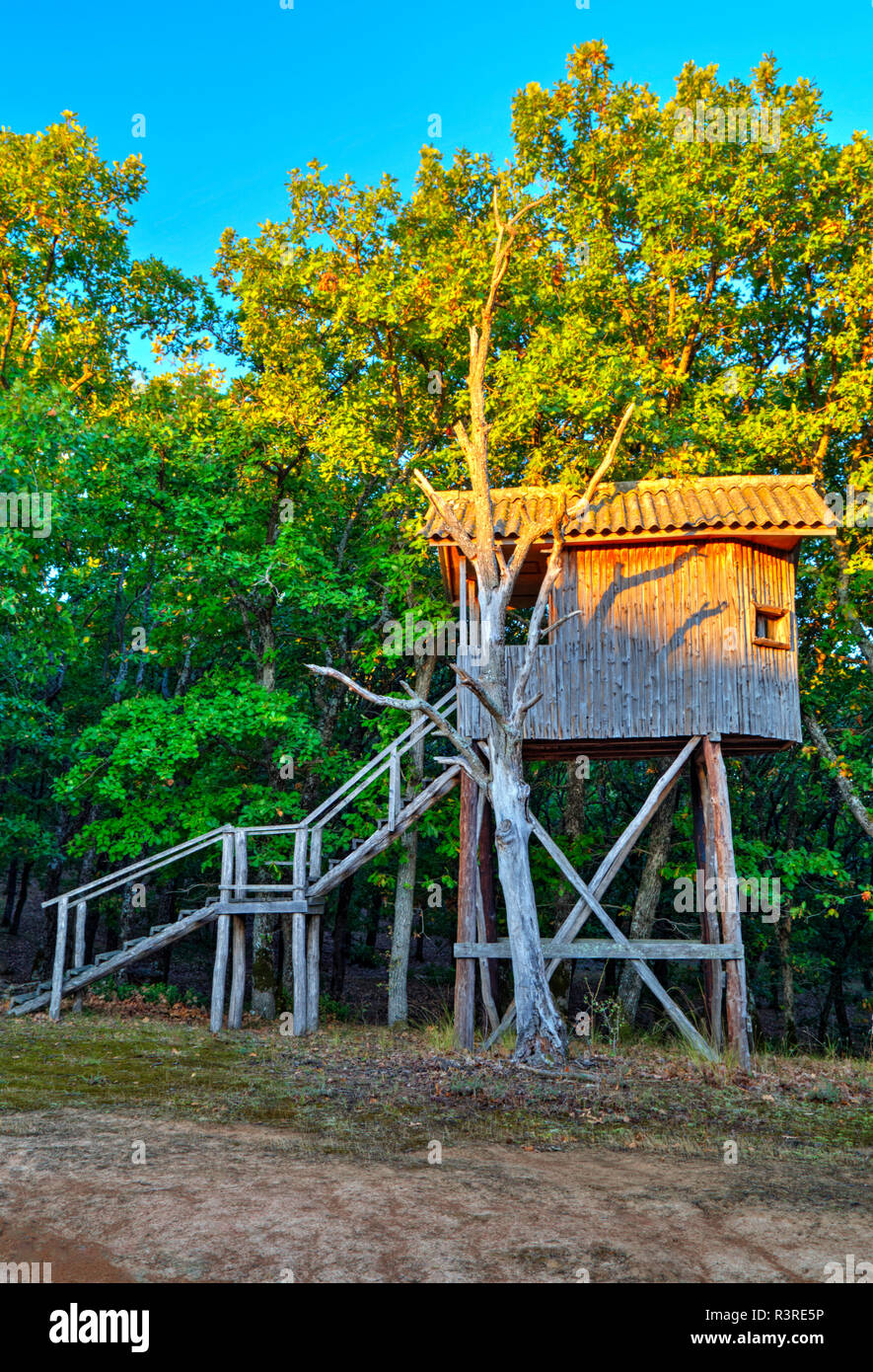 Nice wooden house in the branches of the tree Stock Photo - Alamy
