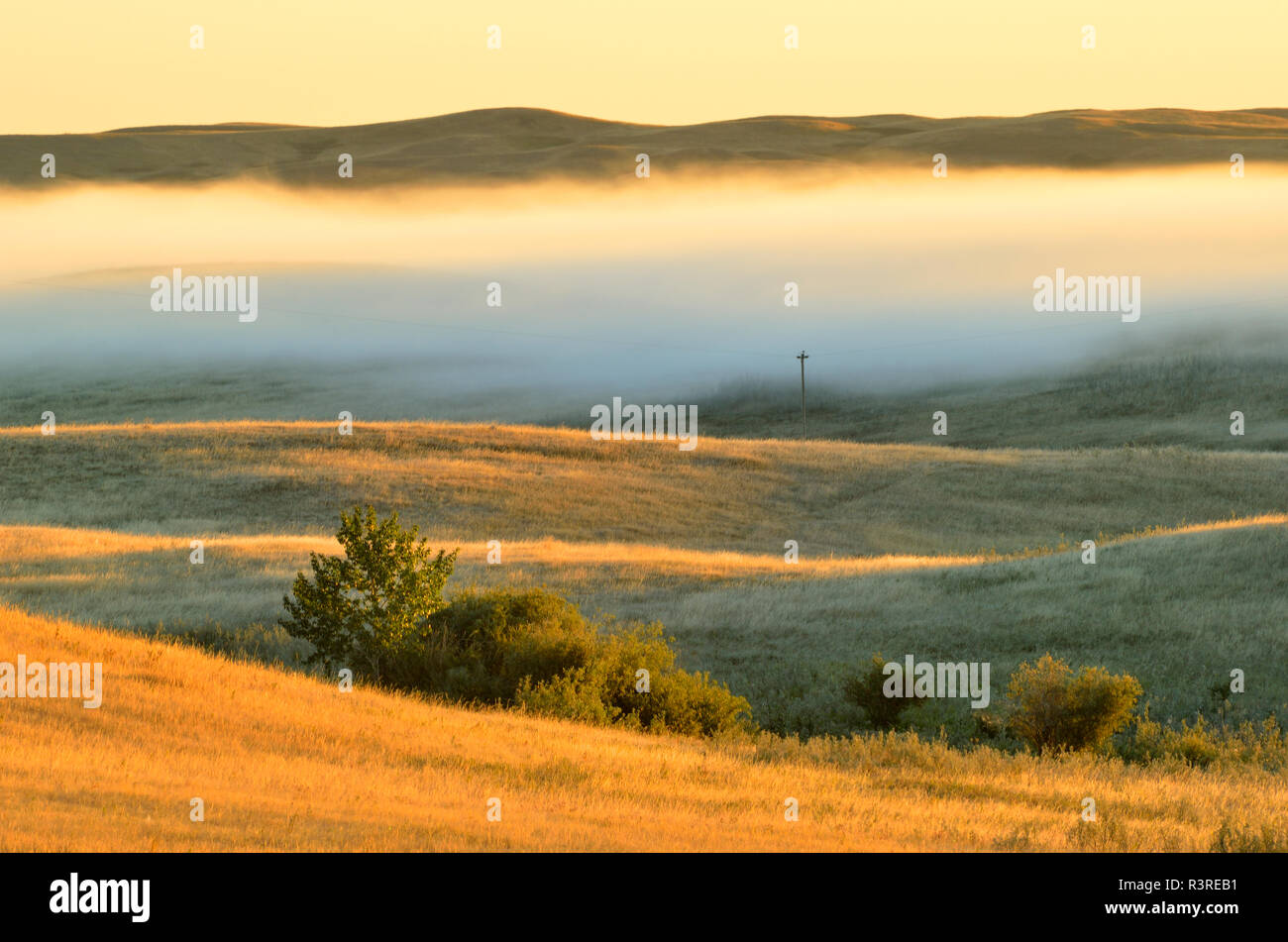 Prairie saskatchewan hi-res stock photography and images - Alamy