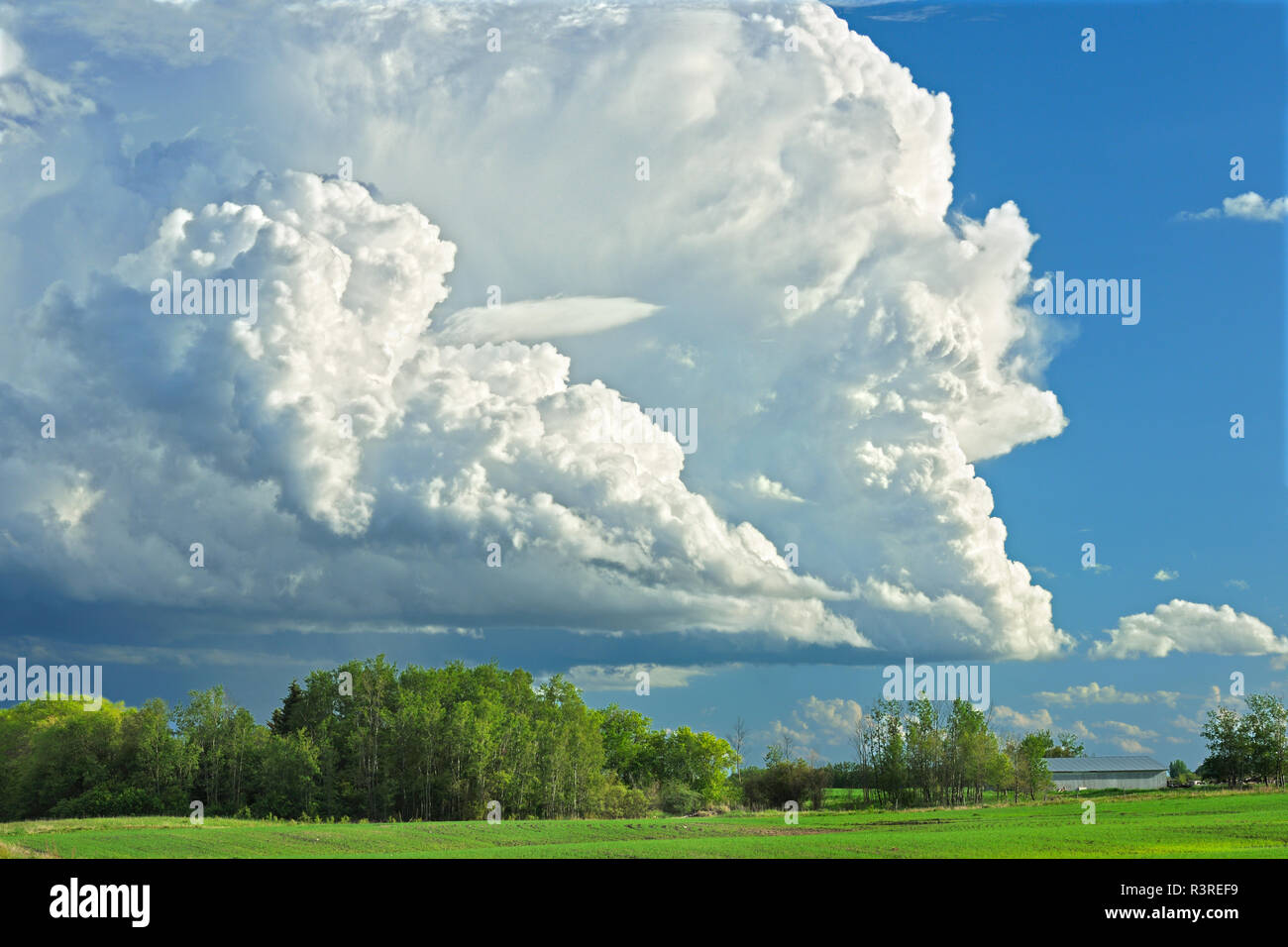 Wroxton saskatchewan hi-res stock photography and images - Alamy