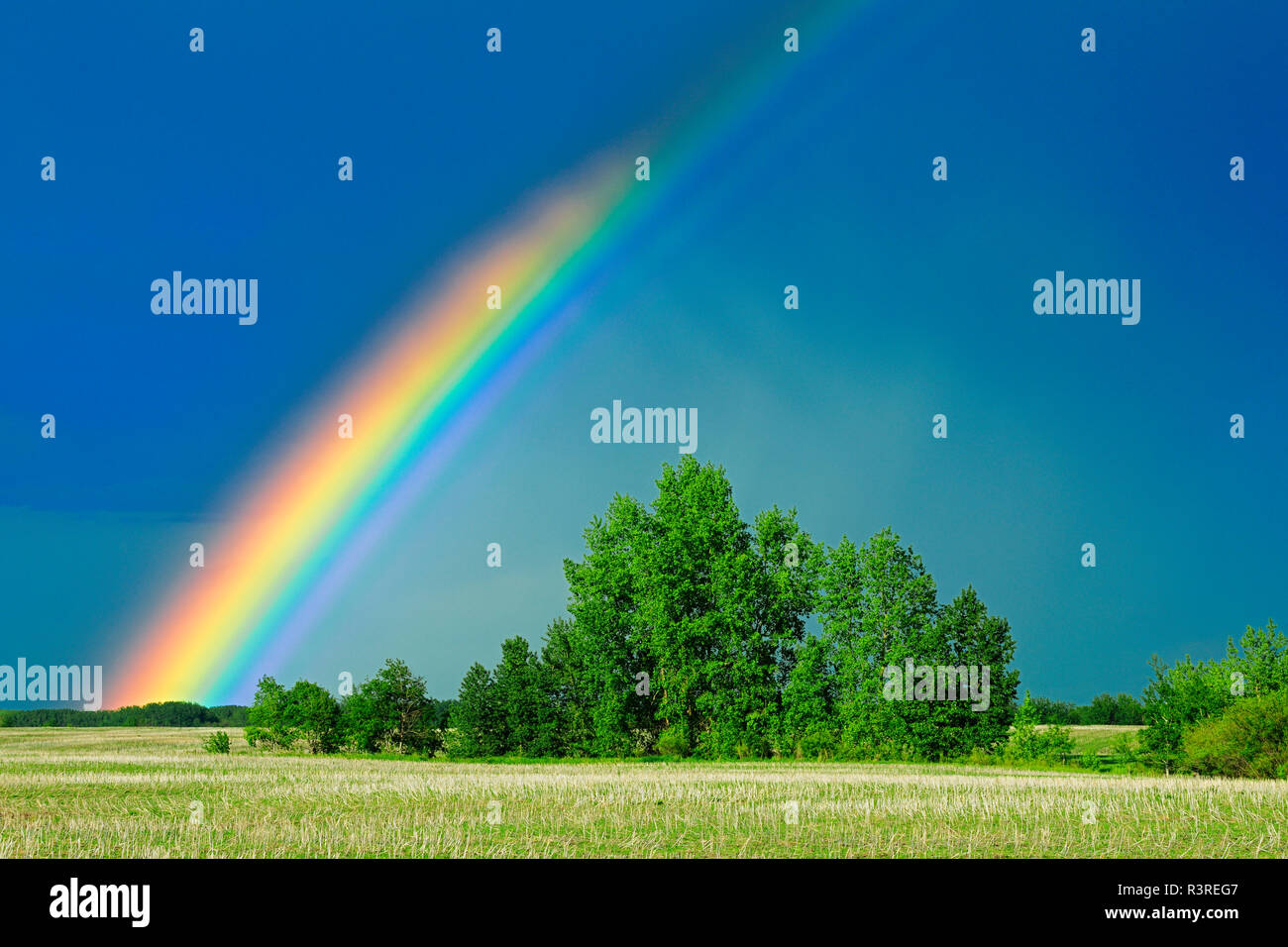 Wroxton saskatchewan hi-res stock photography and images - Alamy