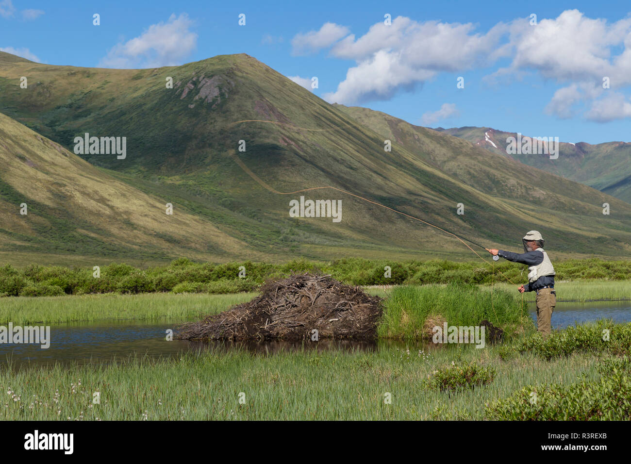 Canada, Yukon, Tombstone Territorial Park. Man fly fishing next to ...