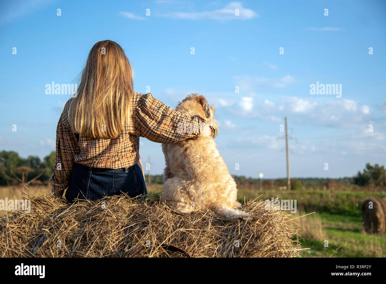 A girl with long hair sits next to a shaggy dog on a haystack with her ...