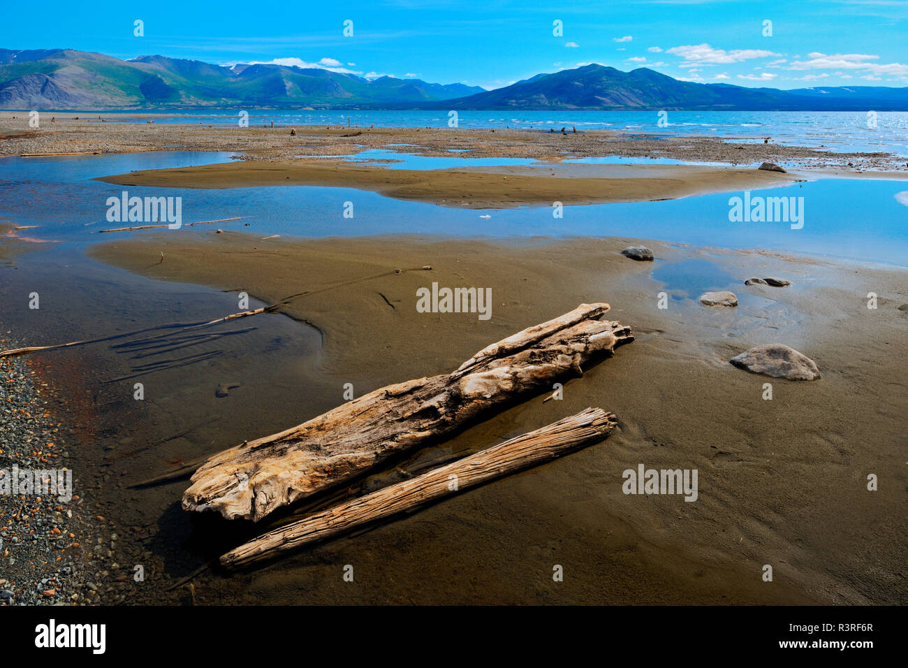 Kluane National Park. Kluane Lake and driftwood Stock Photo - Alamy