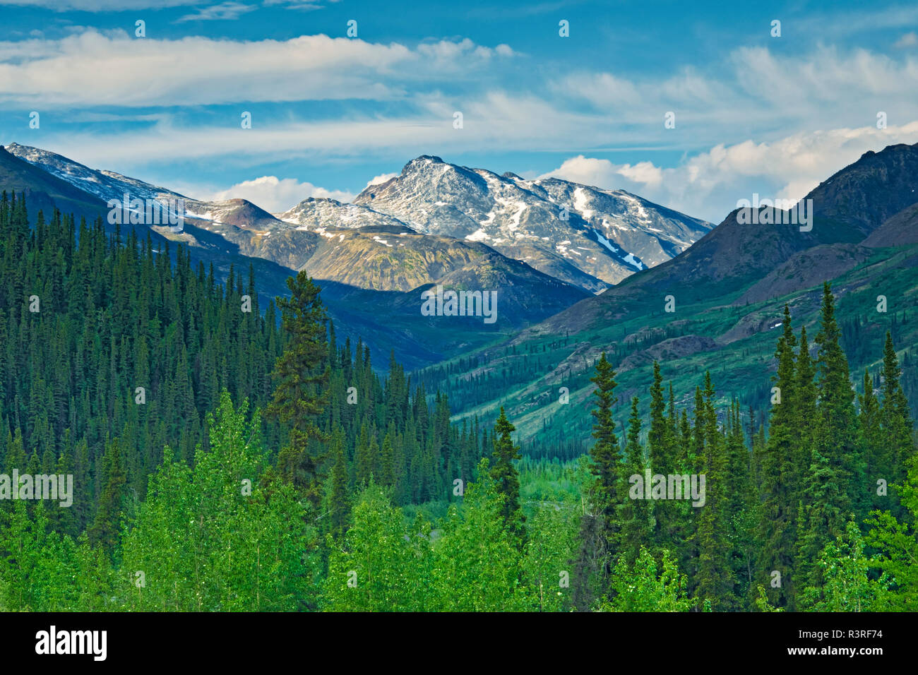 Yukon valley hi-res stock photography and images - Alamy