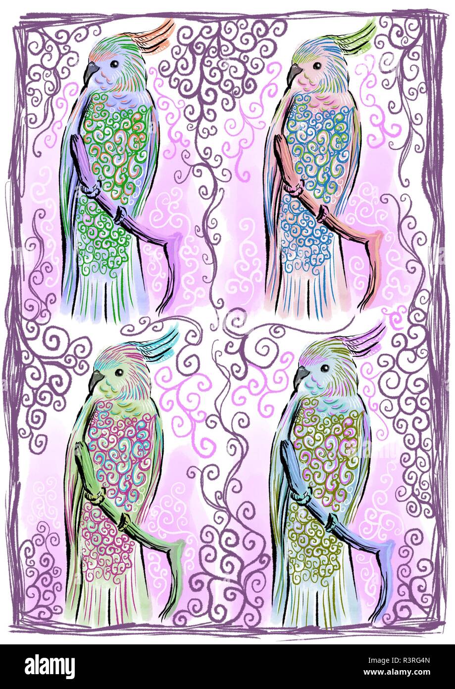 cockatiel parrot pattern illustration Stock Photo - Alamy