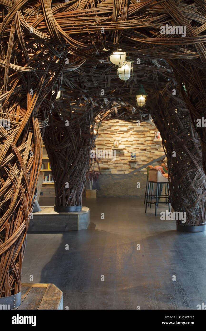 Birds nest canopy with timber wall beyond at entrance to library ...