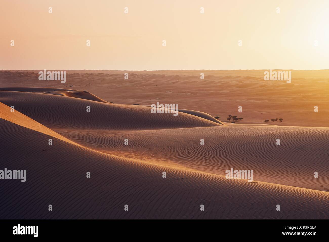 Sand dunes in desert landscape at sunset. Wahiba Sands, Sultanate of ...