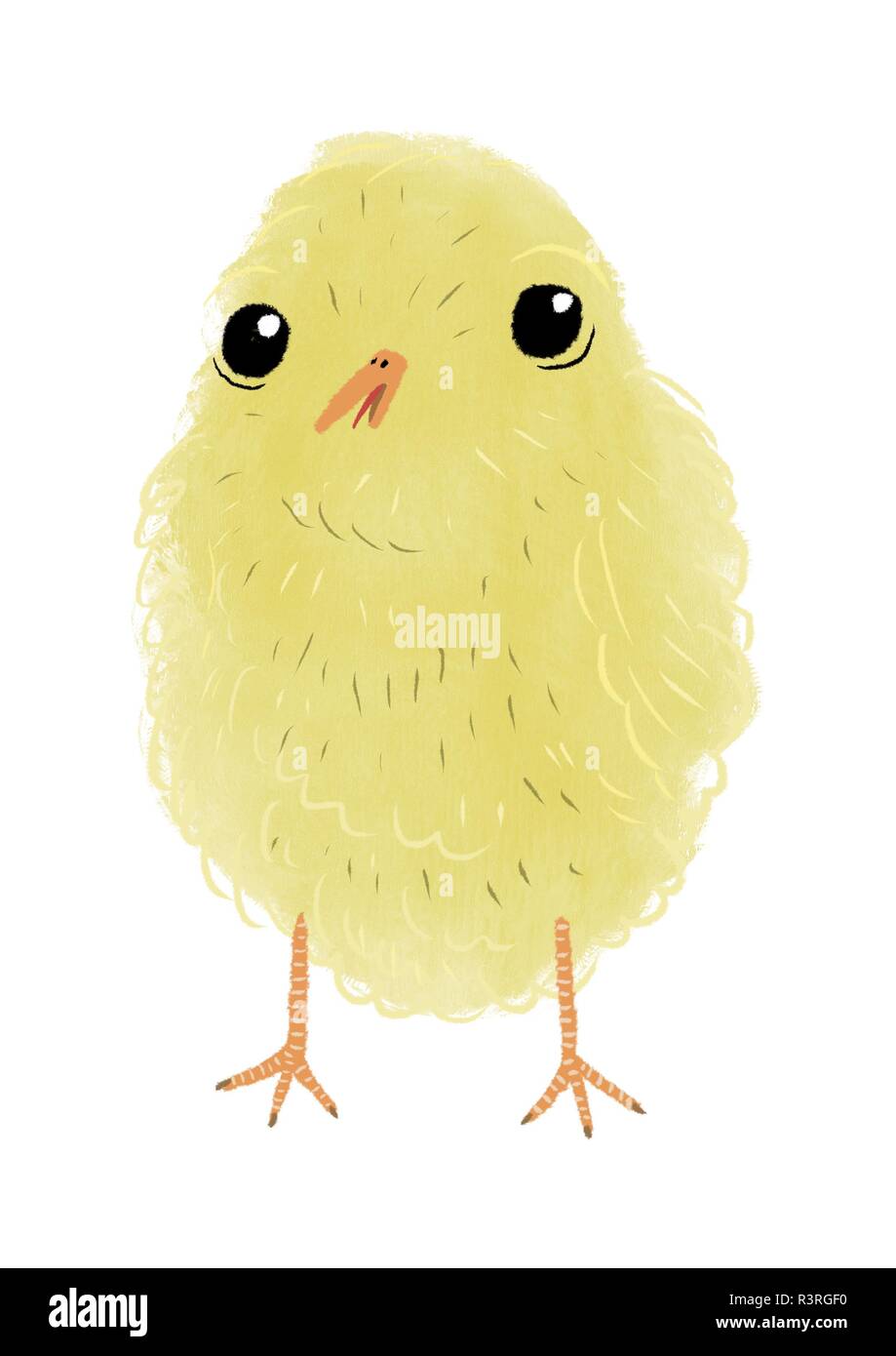 cute hand drawn yellow chick illustration Stock Photo - Alamy