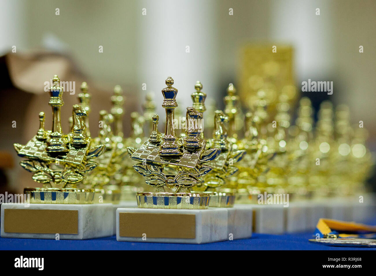 Gold cup winner. Chess.. Emotions after the game of chess Stock Photo ...