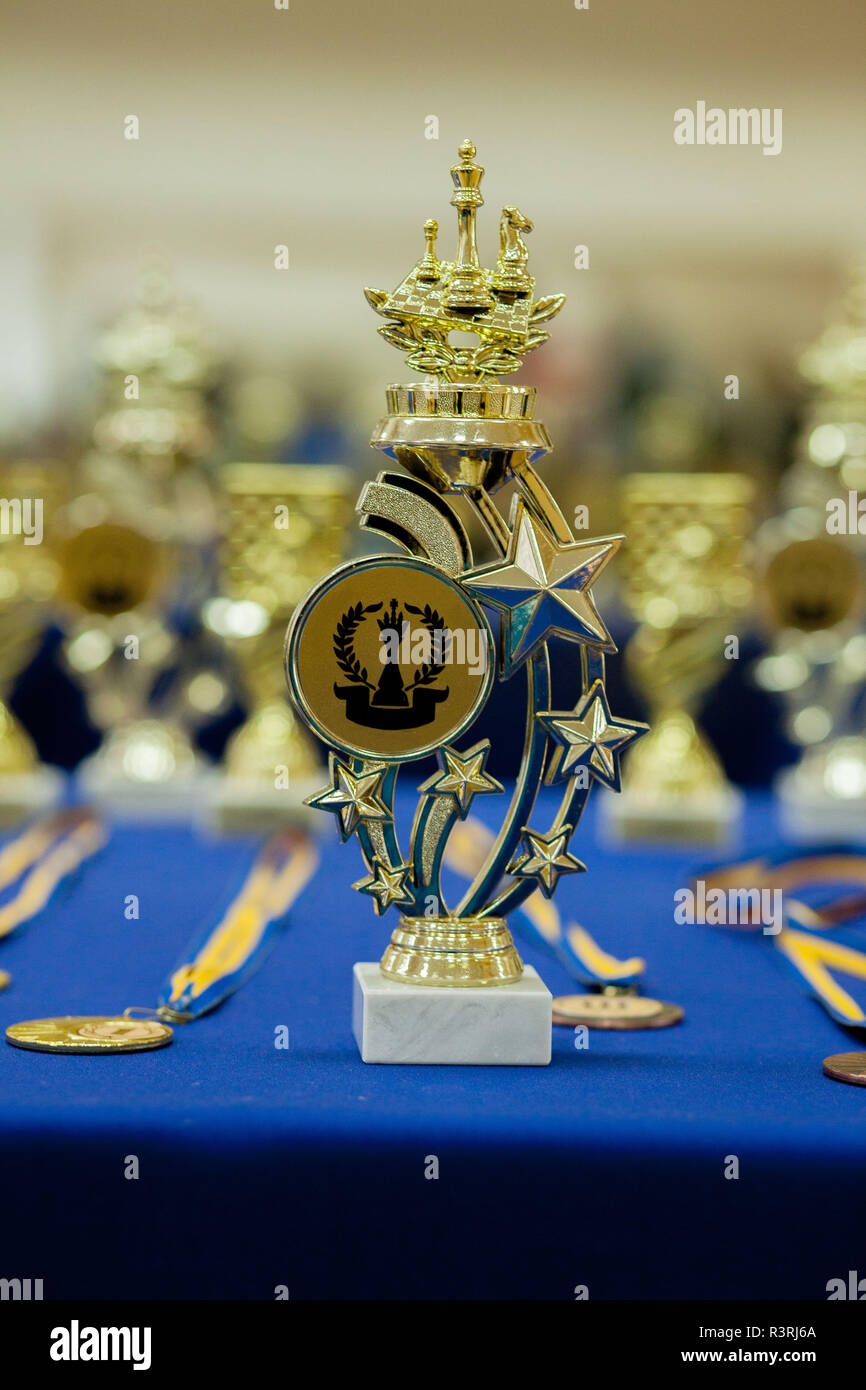 Gold cup winner. Chess.. Emotions after the game of chess Stock Photo ...