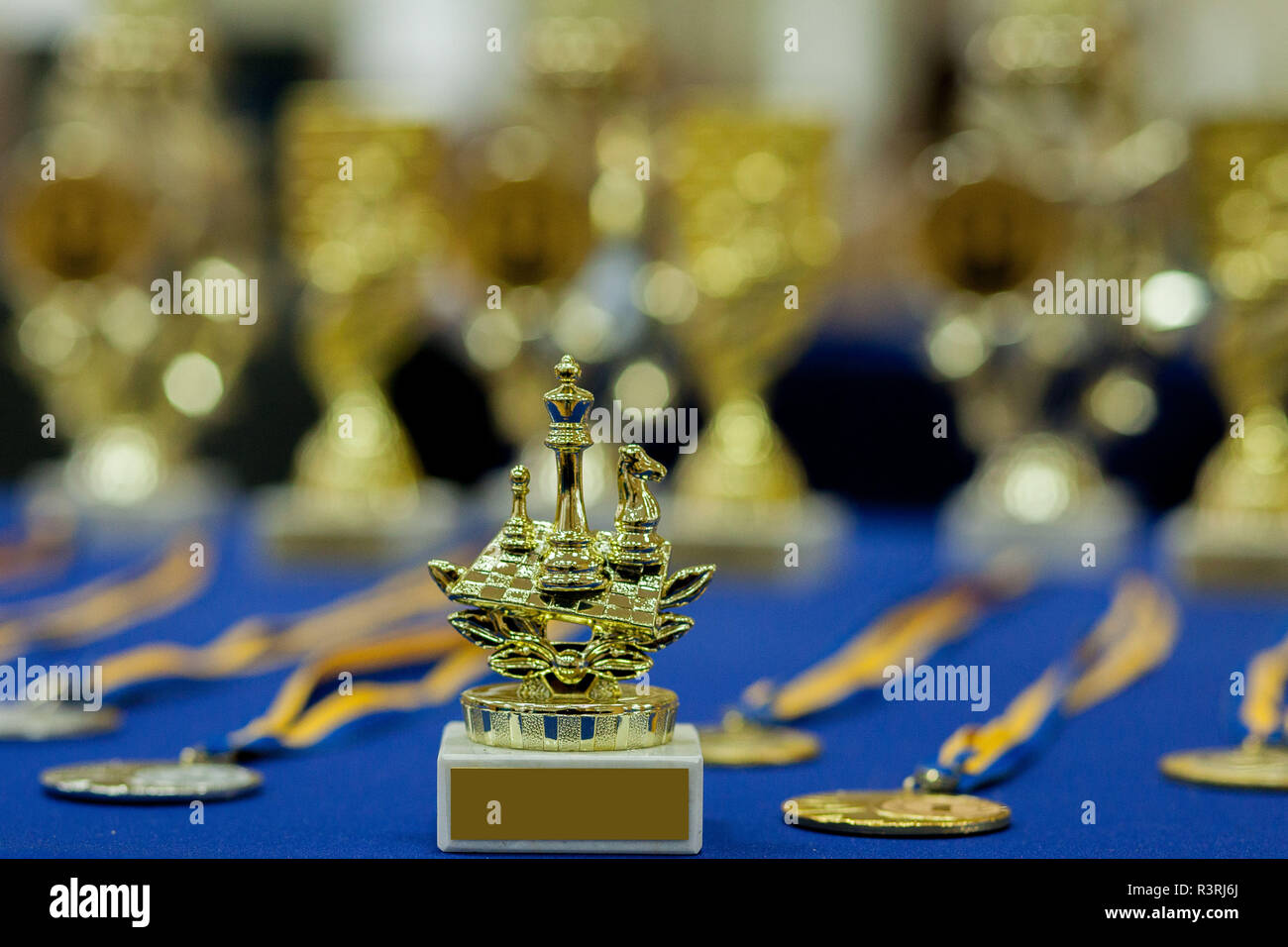 Gold cup winner. Chess.. Emotions after the game of chess Stock Photo ...