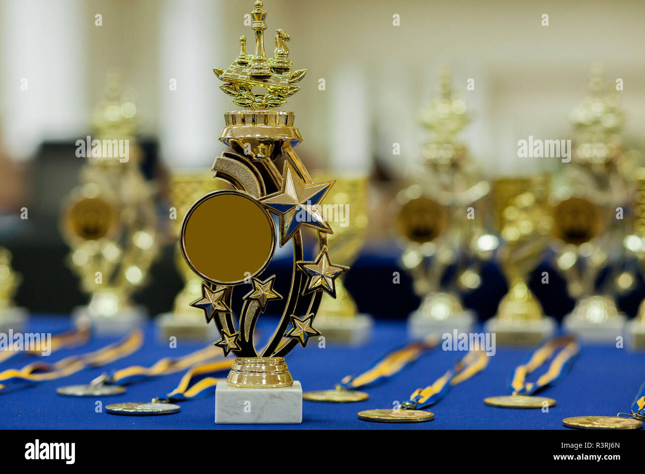 Gold cup winner. Chess.. Emotions after the game of chess Stock Photo ...