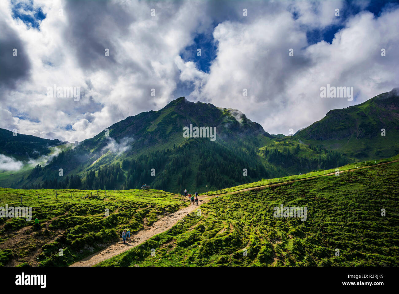 Loder trail hi-res stock photography and images - Alamy