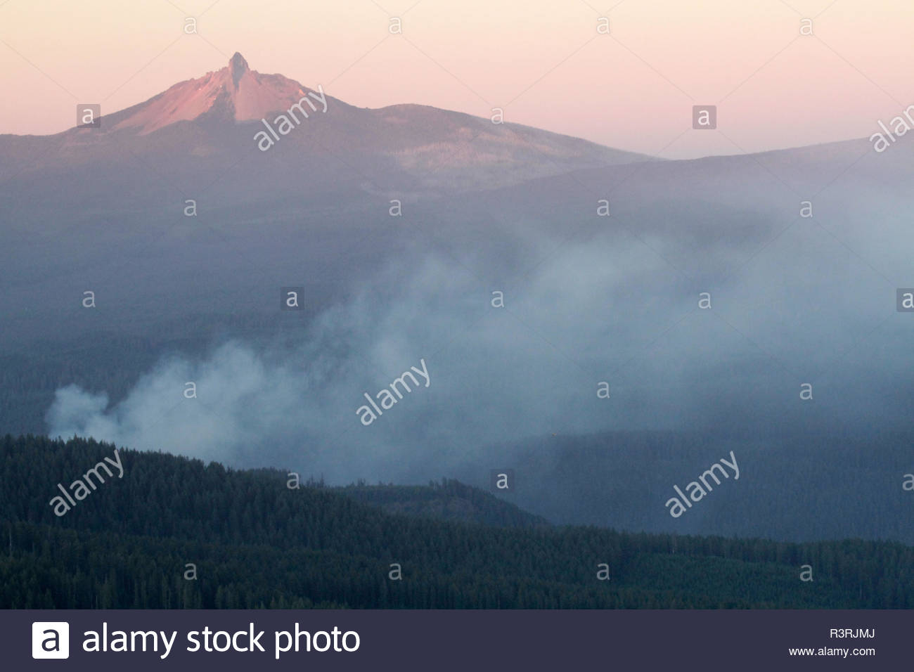 Bunchgrass High Resolution Stock Photography and Images - Alamy
