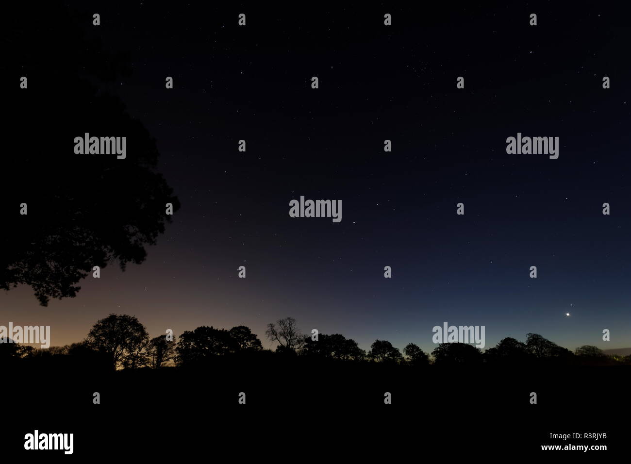Virgo Constellation Spica