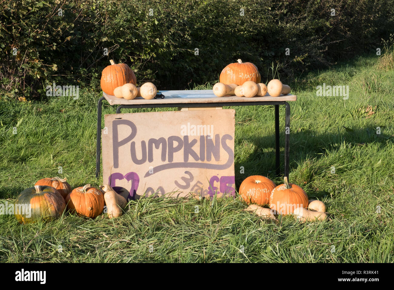 roadside pumpkin stall in Shropshire, UK Stock Photo - Alamy