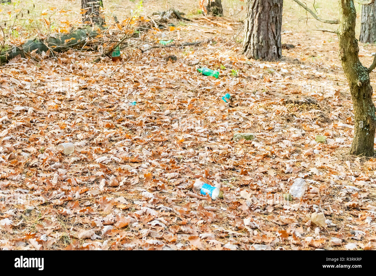 Plastic pollution forest nature bottles hi-res stock photography and ...