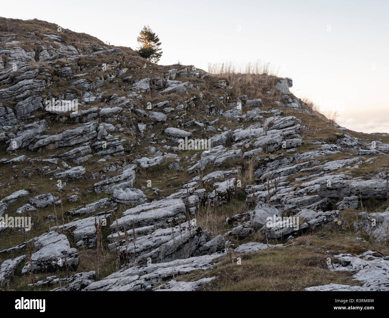 Landslide alps hi-res stock photography and images - Alamy