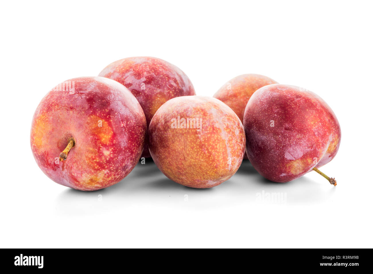 Side view of red ripe plums fruits isolated on white background Stock ...